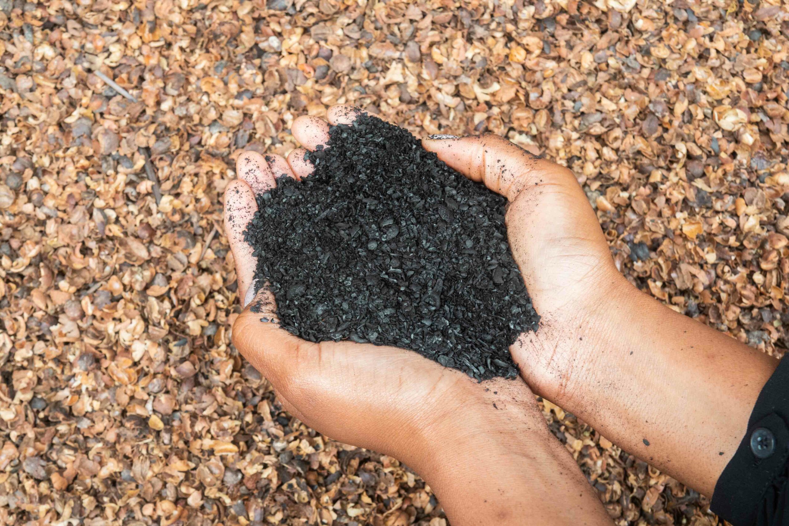 Le Biochar, remède magique pour le climat et la biodiversité - Vivae